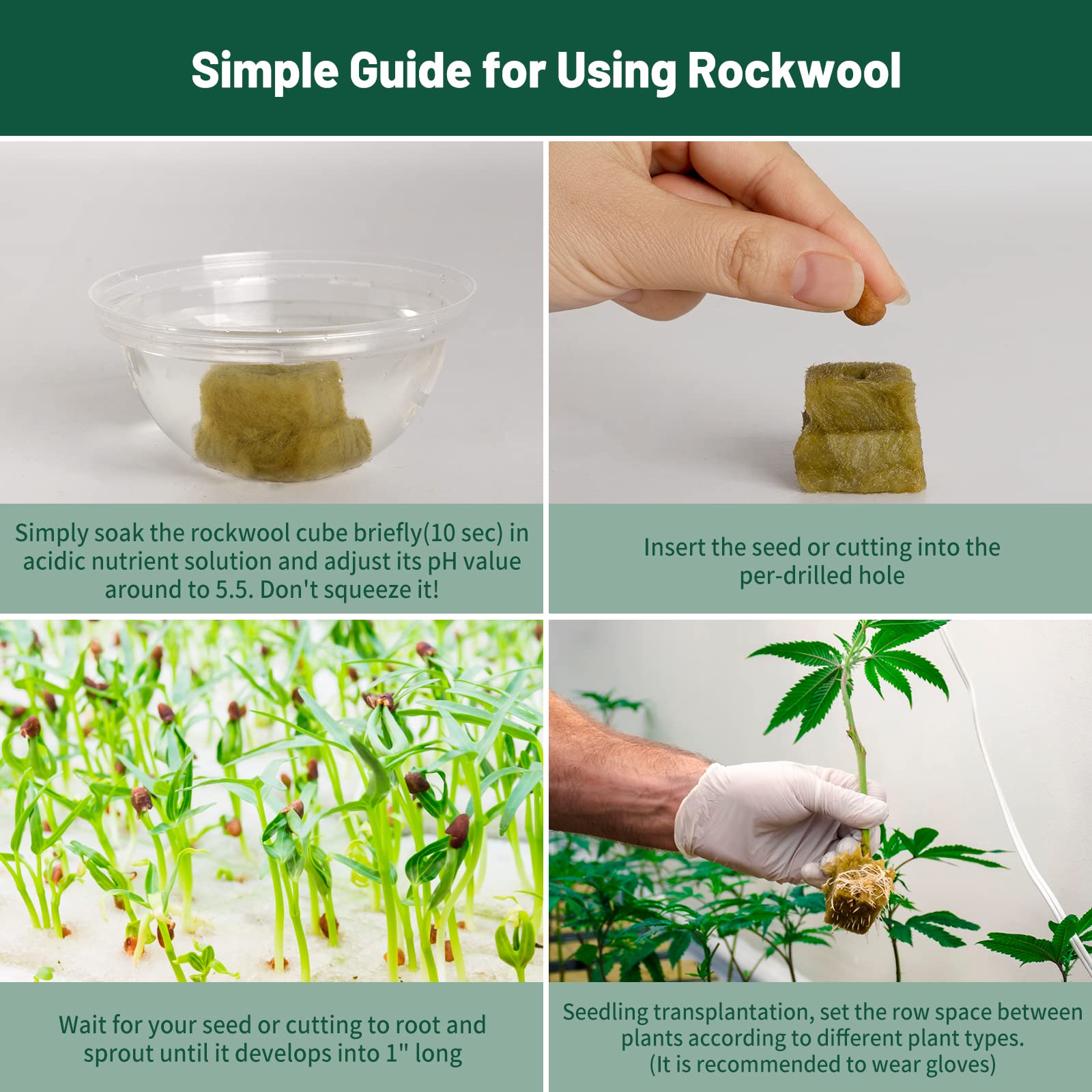 Mua Jowlawn 1" Rockwool Cubes for Hydroponics - 4 Sheets Rockwool Grow ...