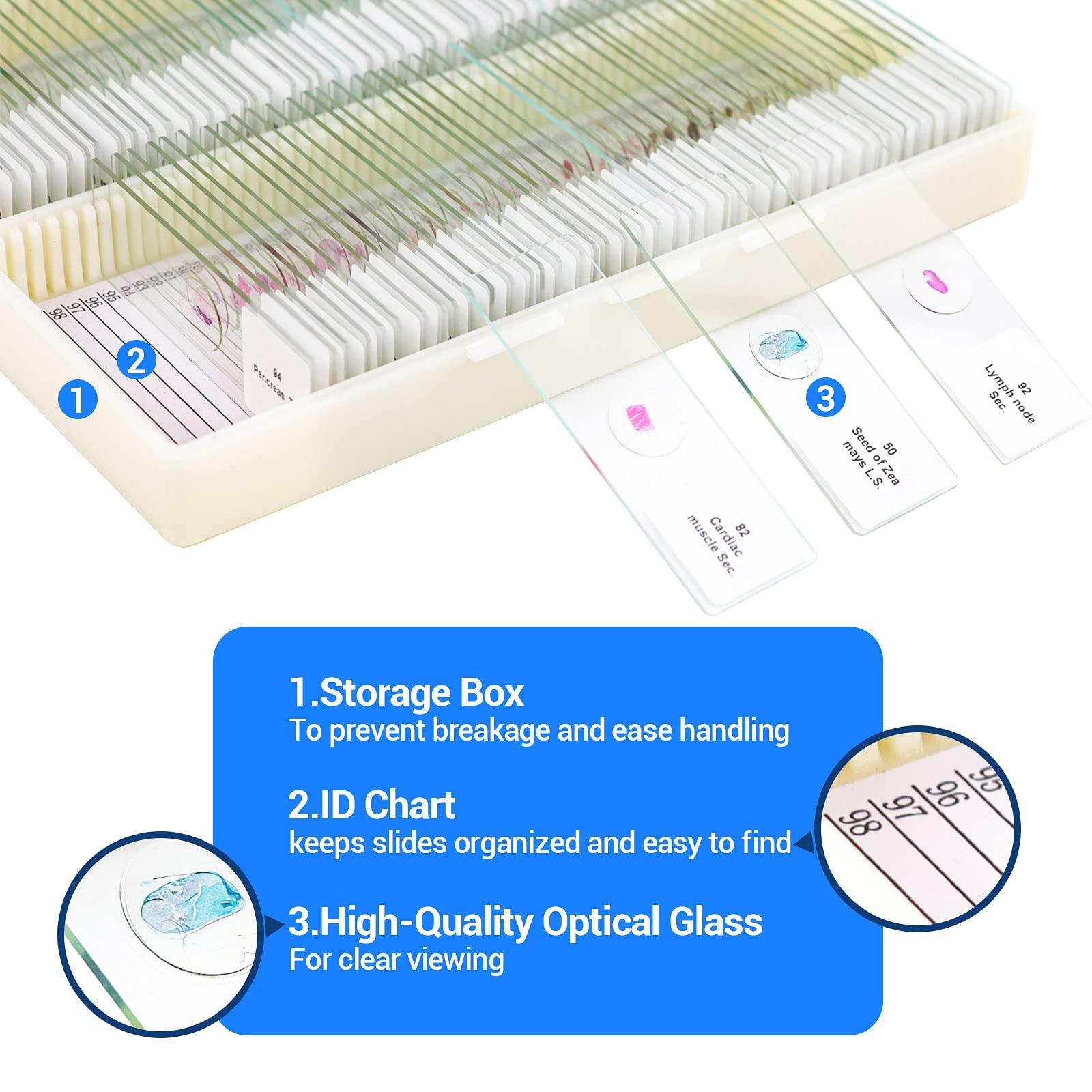 Mua 100 Prepared Microscope Slides with Specimens for Kids Adults ...