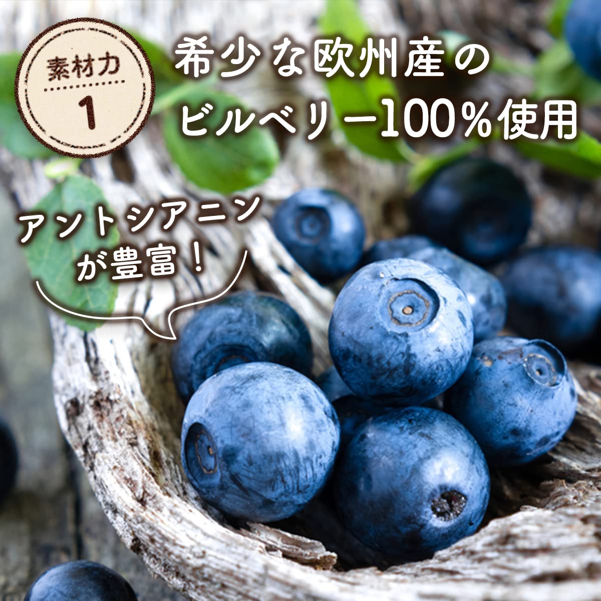 Mua Health Family Blueberry, 31 Tablets, European Bilberry Extract ...