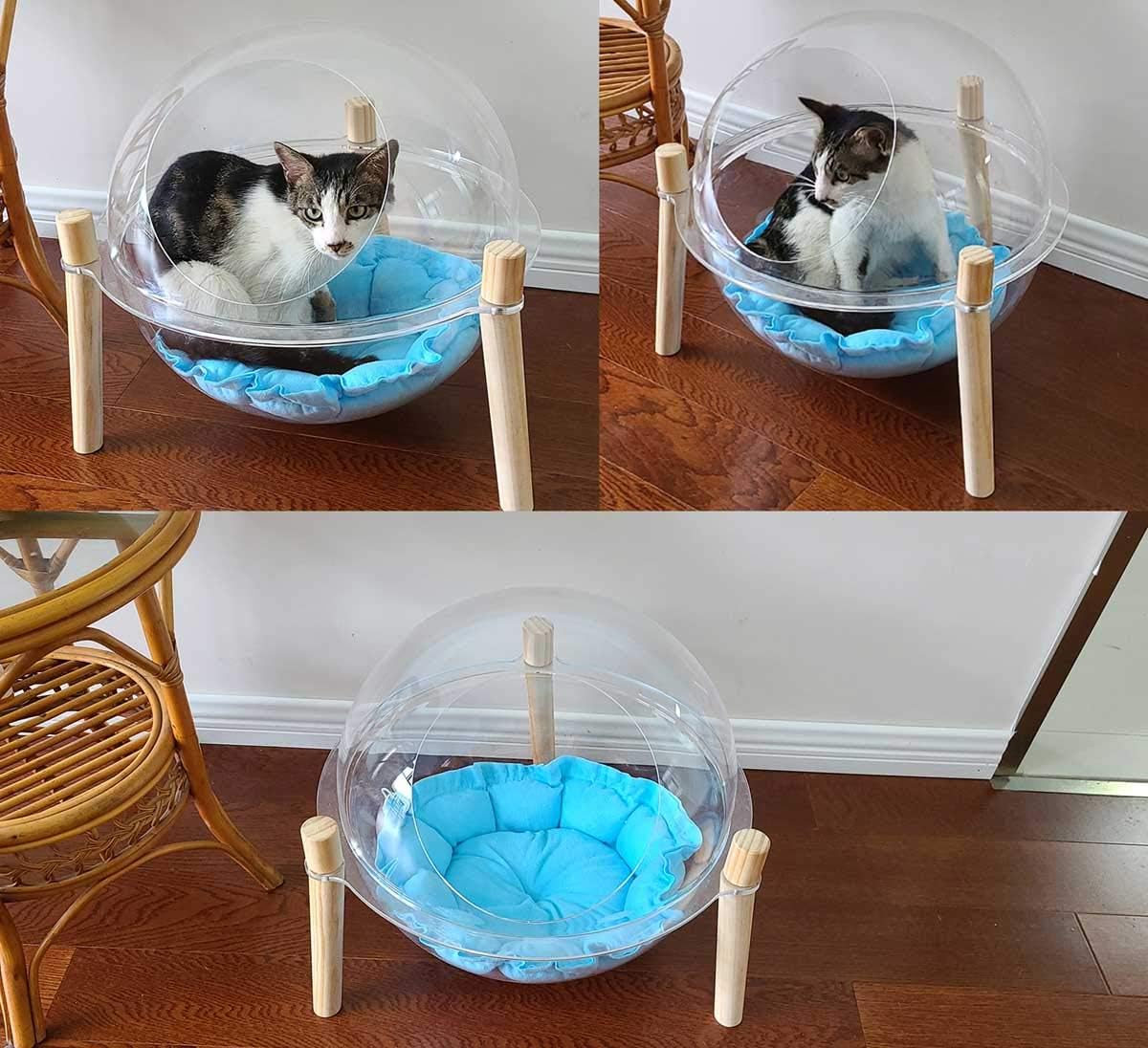 Combination of Life Space Capsule Cat House Acrylic Spherical ...