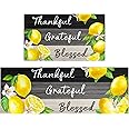 Amazon.com: Lemon Kitchen Rugs and Mats Set of 2 Piece Kitchen Decor ...