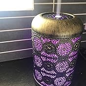 Aromatherapy Diffusers,SALKING 260ml Metal Essential Oils Diffuser ...