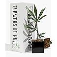 Amazon.com: 15 Inch Fake Weed Plant for Home Decor with Black Pot ...
