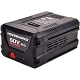 Amazon.com: Snapper 60 Volt Lithium-Ion Battery: Home Improvement