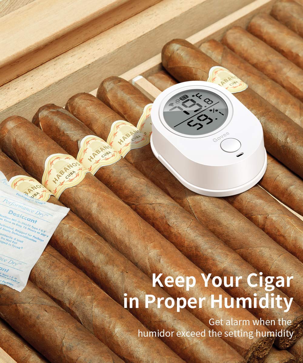 Govee WiFi Temperature Humidity Monitor, Wireless Digital Indoor ...