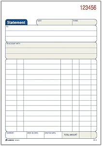 Amazon.com : Adams Statement Book, 2-Part Carbonless, White/Canary, 5-9 ...