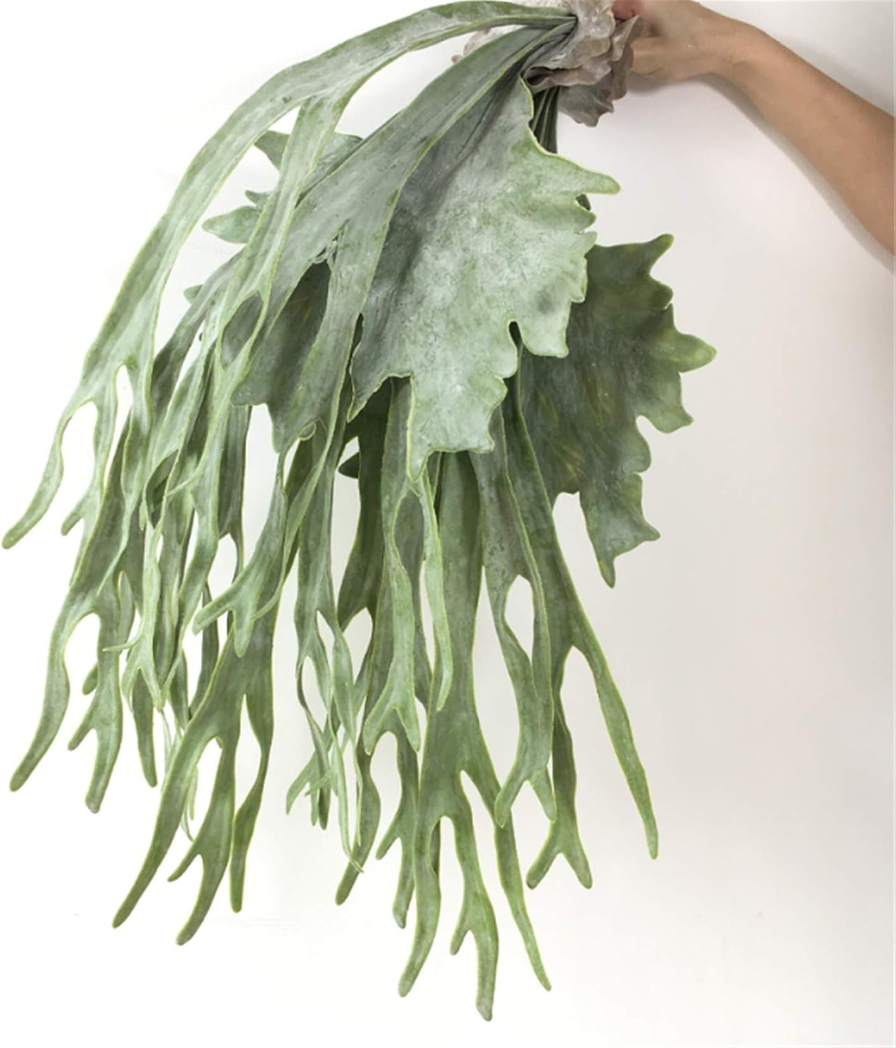 Amazon.com: Skyseen 1Pcs Flocked Staghorn Fern Artificial Antlers Bush ...