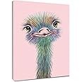 Amazon.com: HVEST Ostrich Canvas Wall Art Watercolor Cute Animal on ...