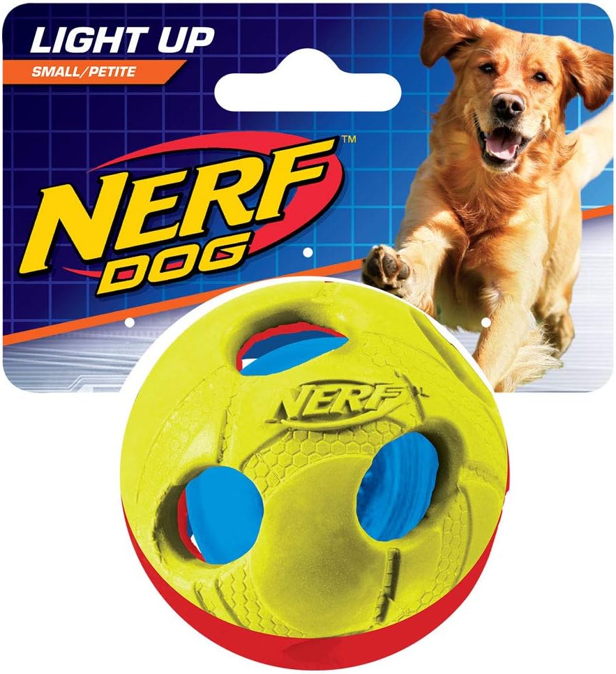 Nerf Dog, LED dog toy – BigaMart