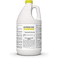 Amazon.com: Professional Disinfecting Mildew, Virus & Mold Killer ...