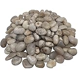 Amazon.com : Royal Imports 5lb Decorative Ornamental River Pebbles ...
