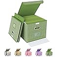 Amazon.com: Oterri 2 Pack File Organizer Box,File Box,Small File ...