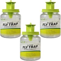 Amazon.com : Catchmaster Giant Fly Glue Trap 3-Pack 30 Feet Each ...