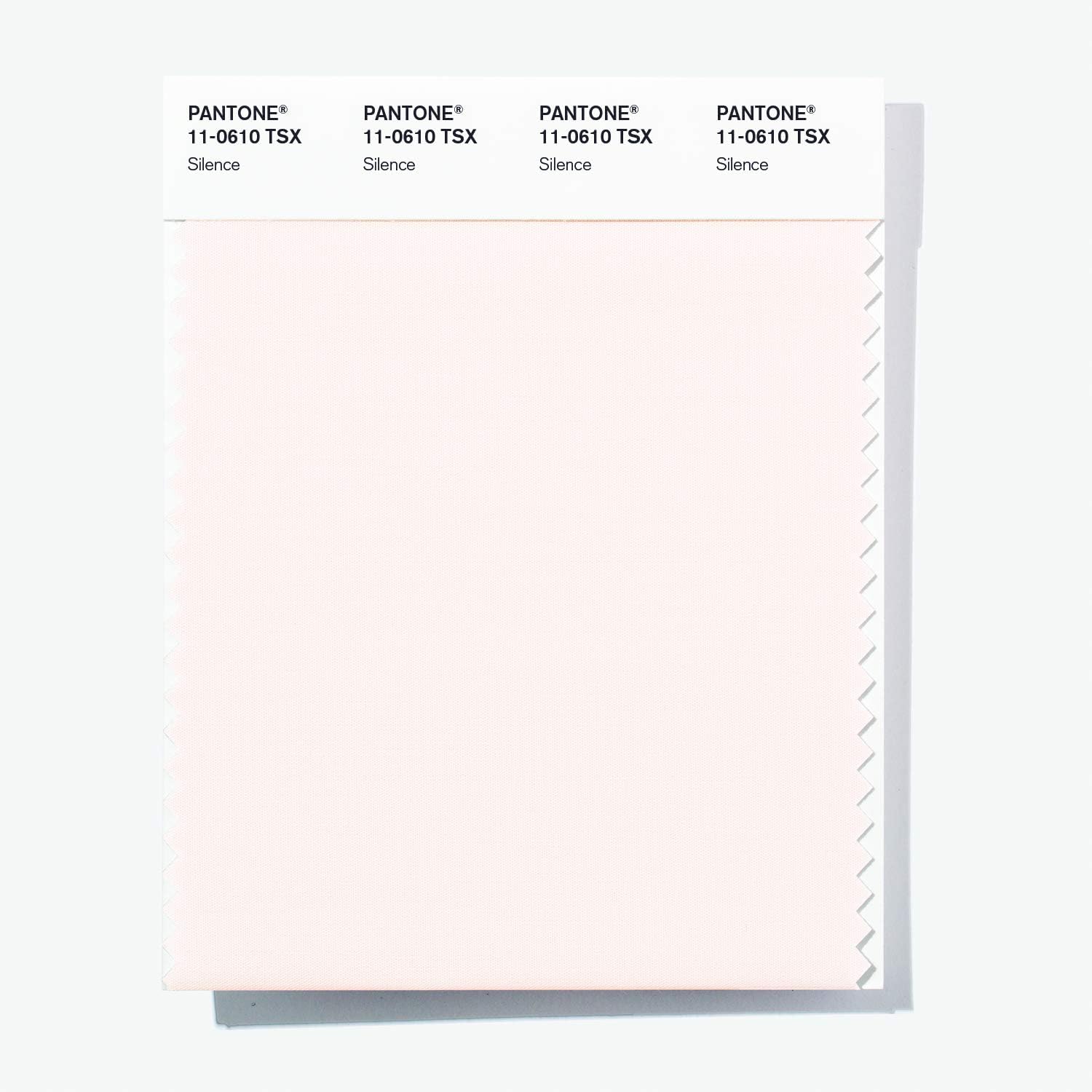 PANTONE 11-0610 TSX Polyester Color Swatch Card Silence - - Amazon.com
