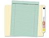 Feline Veterinary Medical Record Forms, Doctor Stuff 2-Sided Vet Chart ...