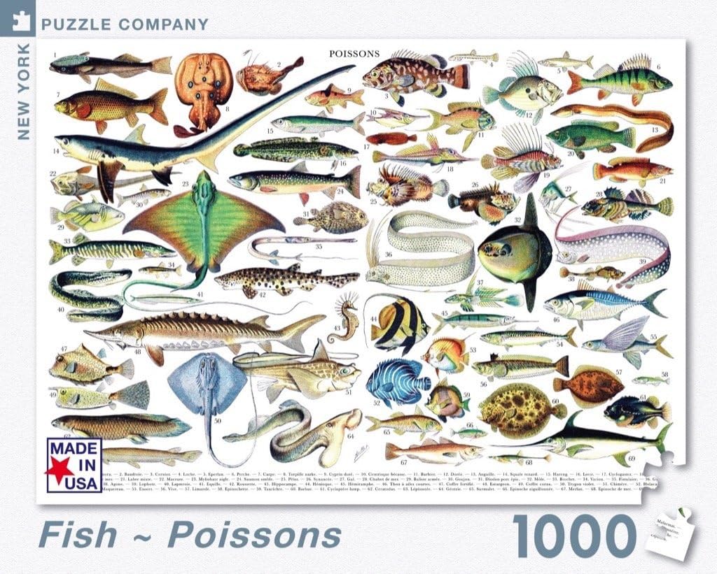 New York Puzzle Company – Fish ~ Poissons – 1000 Piece Jigsaw Puzzle ...