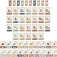 Amazon.com: 56Pcs Modern Boho Alphabet Poster for Classroom Wall Decor ...