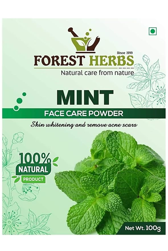 Forest Herbs 100% Natural Organic Mint Leaf Powder 100Gms: Amazon.in ...