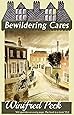Bewildering Cares: Peck, Winifred: 9781911413875: Amazon.com: Books
