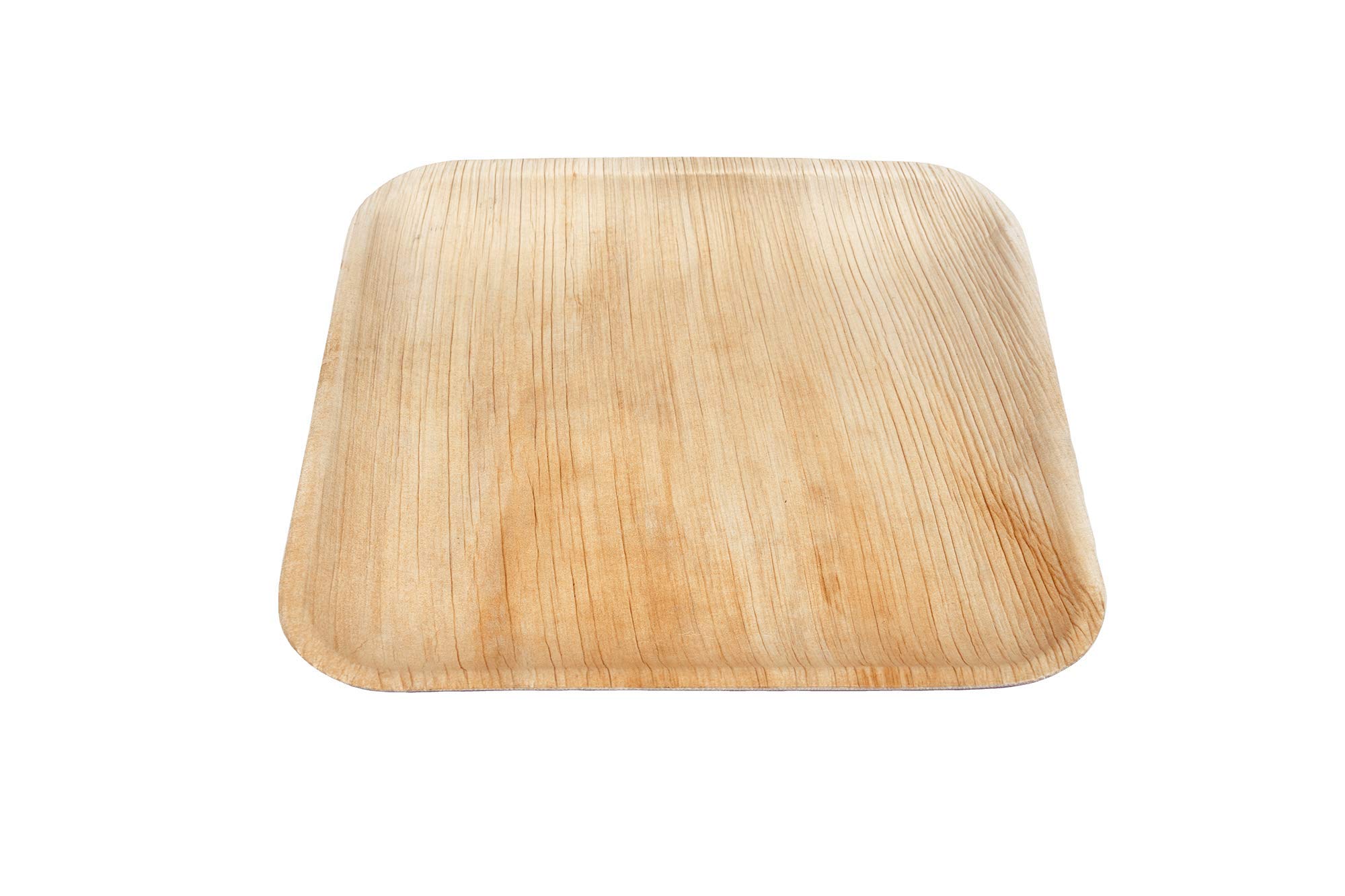 Buy EARTH RESTORED Palm Leaf Plates Square Plates Party With