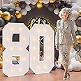 Amazon.com: Bugame Light Up Numbers 4FT, Number 80 Light Up Sign ...