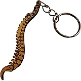 Amazon.com: Anatomology 00029 Courage Spine Key Chain: Industrial ...