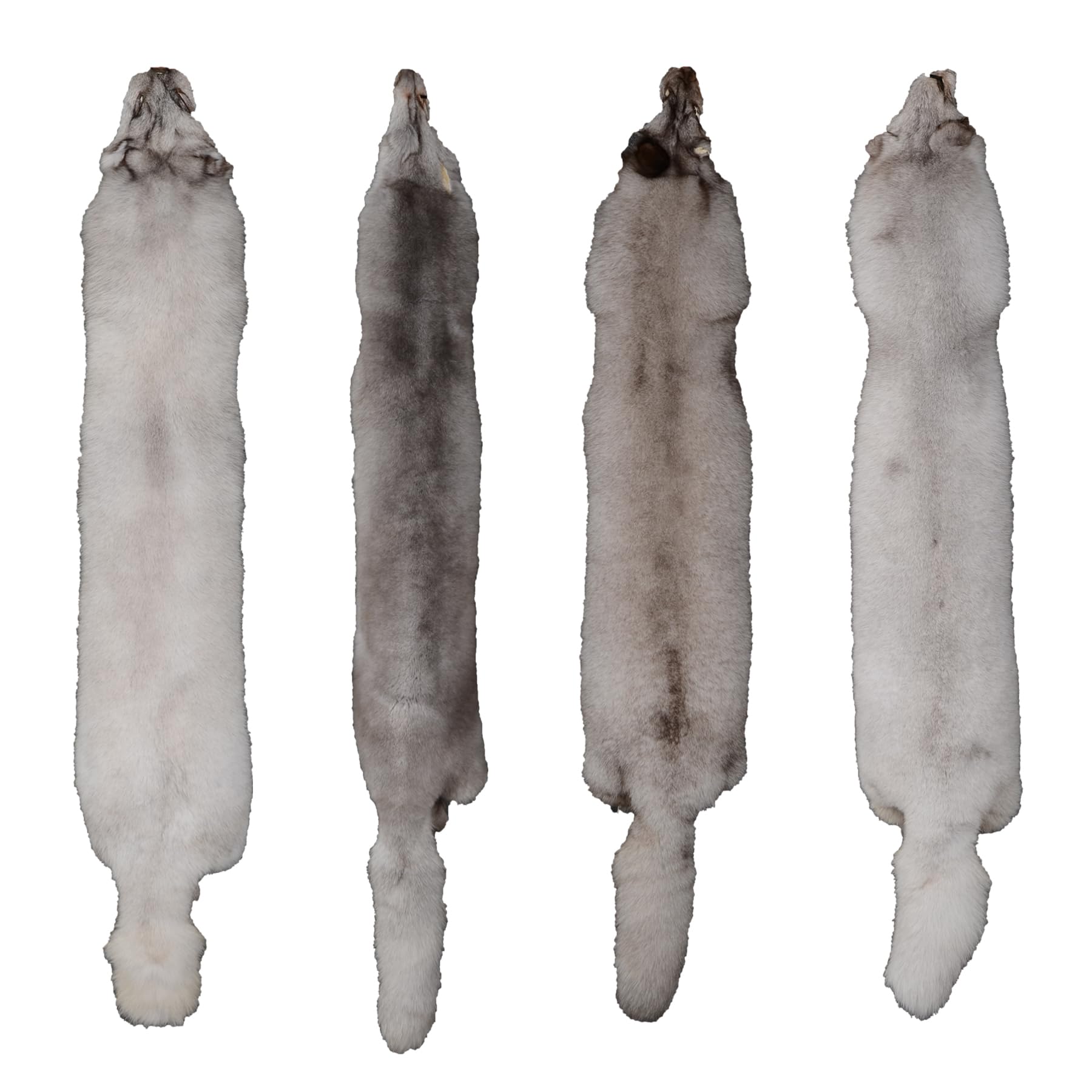Tanned Blue Fox Hide Fur Pelt Crafts Fox Skin Fur Taxidermy Decor ...