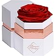 Amazon.com: GLAMOUR BOUTIQUE Hexagon Single Forever Red Rose Box ...