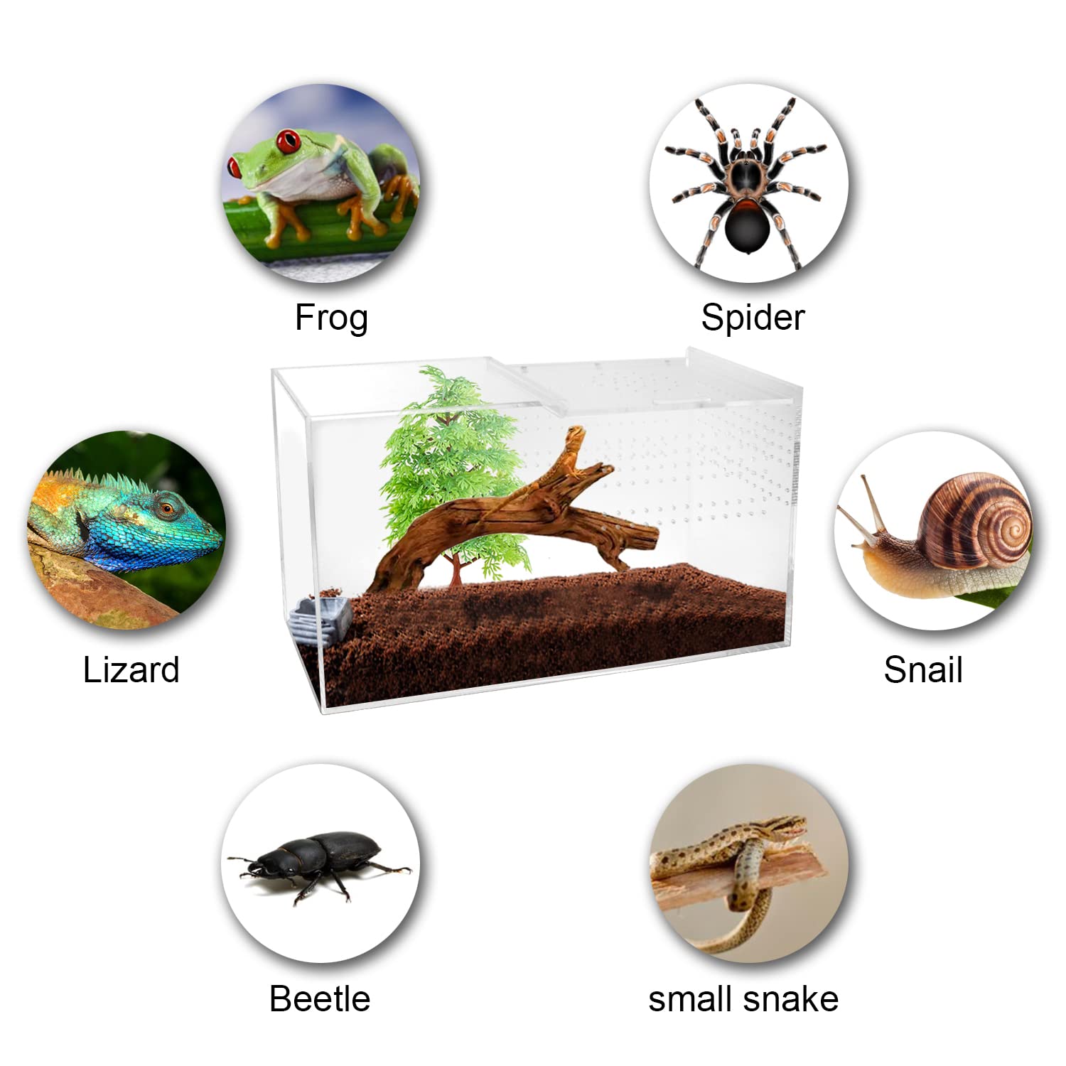 Mua NANEEZOO Acrylic Reptile Terrarium Enclosure, 14”x6”x8” Tarantula ...