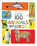 My Big Animal Book (My Big Board Books): Priddy, Roger: 9780312511074 ...