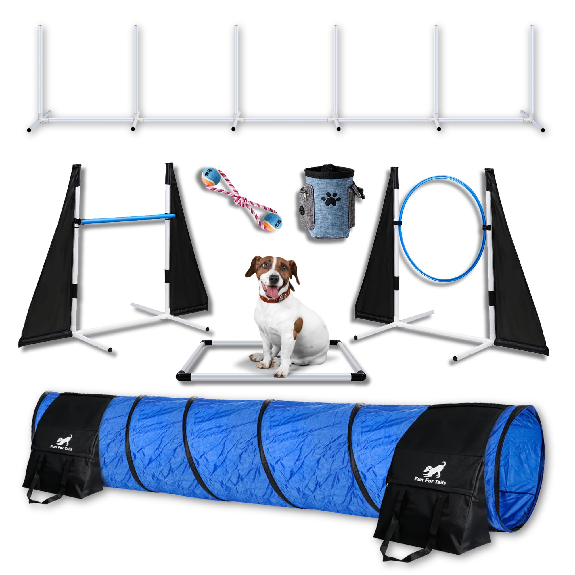 Fun for Tails Starter Dog Agility Training Equipment Set with Dog ...
