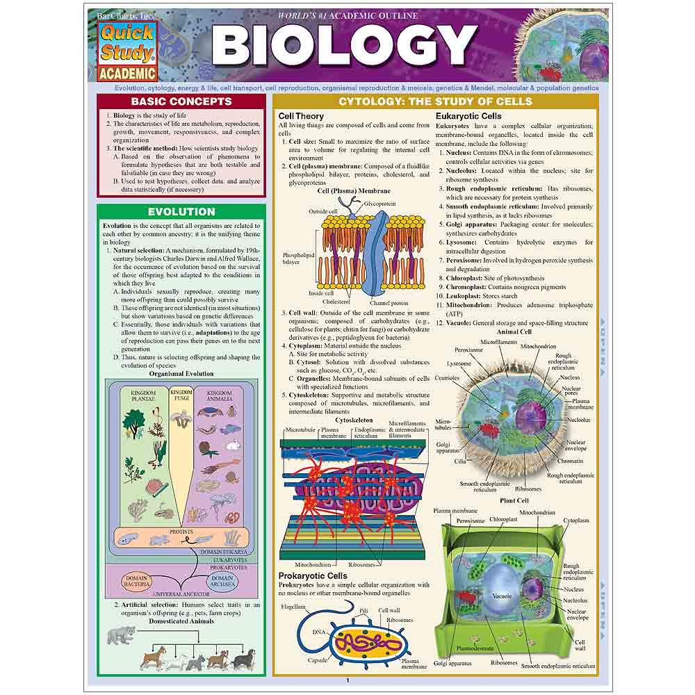 Mua Biology: A QuickStudy Laminated Reference Guide (QuickStudy ...