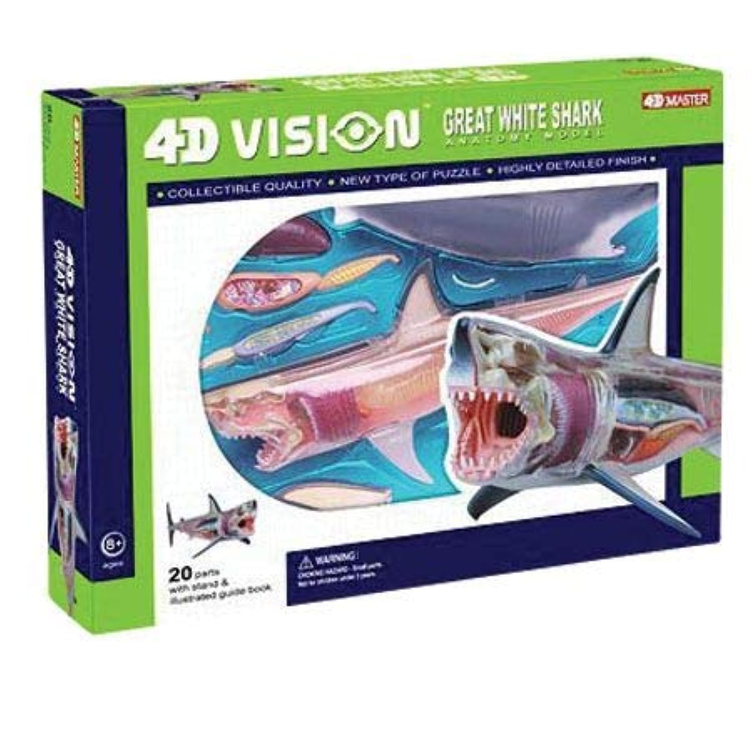 Mua 4D Vision Great White Shark Anatomy Model trên Amazon Mỹ chính hãng ...