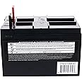 Amazon.com: Ariens Gravely 04738800 12V 12A 190CCA Battery OEM Apex ...
