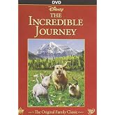 Amazon.com: Homeward Bound - The Incredible Journey : Michael J. Fox ...