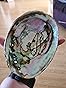 Amazon.com: Hand Selected Abalone Shell, 6 Inches or Larger. Perfect ...
