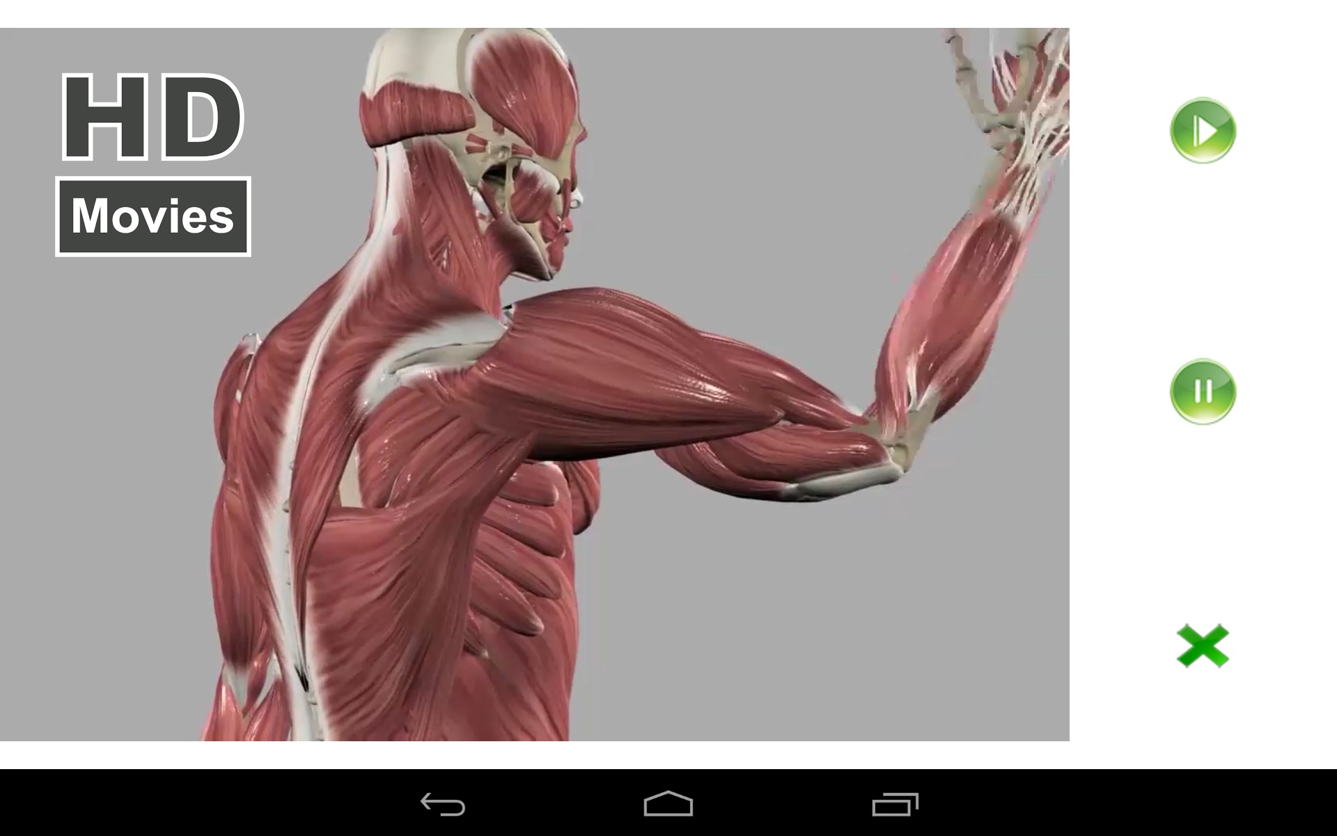 Visual Anatomy Free:Amazon.com:Appstore for Android