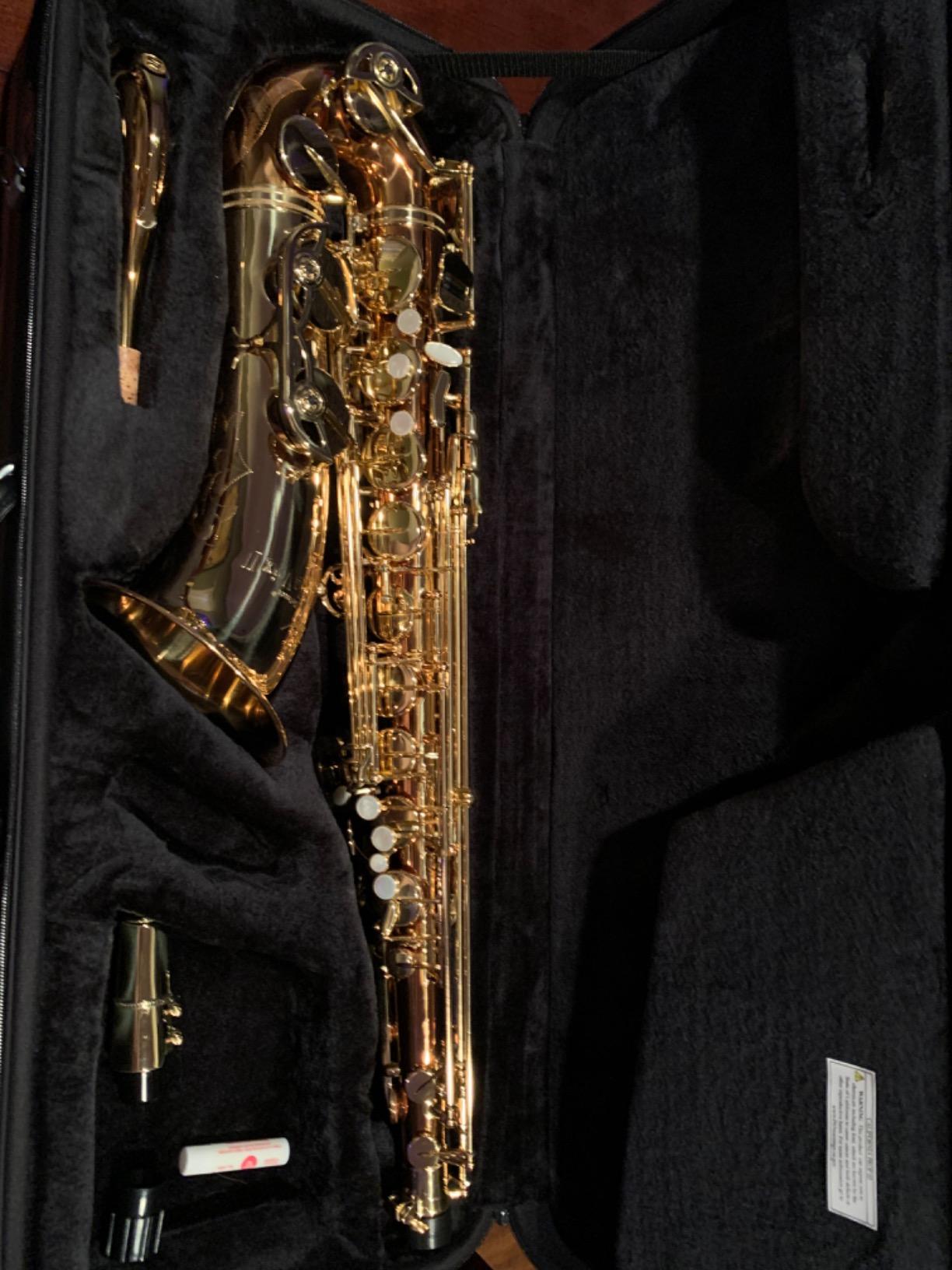 $125/mo - Finance Selmer STS280 La Voix II Tenor Saxophone Outfit ...