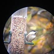 Solomark Universal Cell Phone Adapter Mount: Amazon.co.uk: Camera & Photo