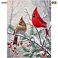 Amazon.com : Winter Cardinal Bird House Flags for Outside 28x40 Double ...