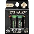 Amazon.com: Soulsation Juego de bálsamo labial orgánico para hombres, 4 ...