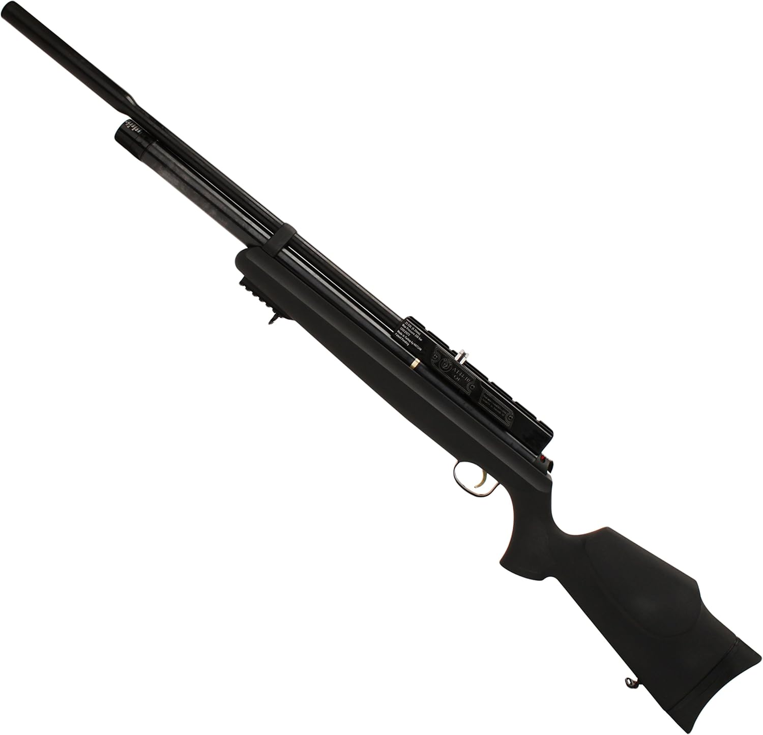 Best .25 Caliber Air Rifles For Hunting – 2021 Guide