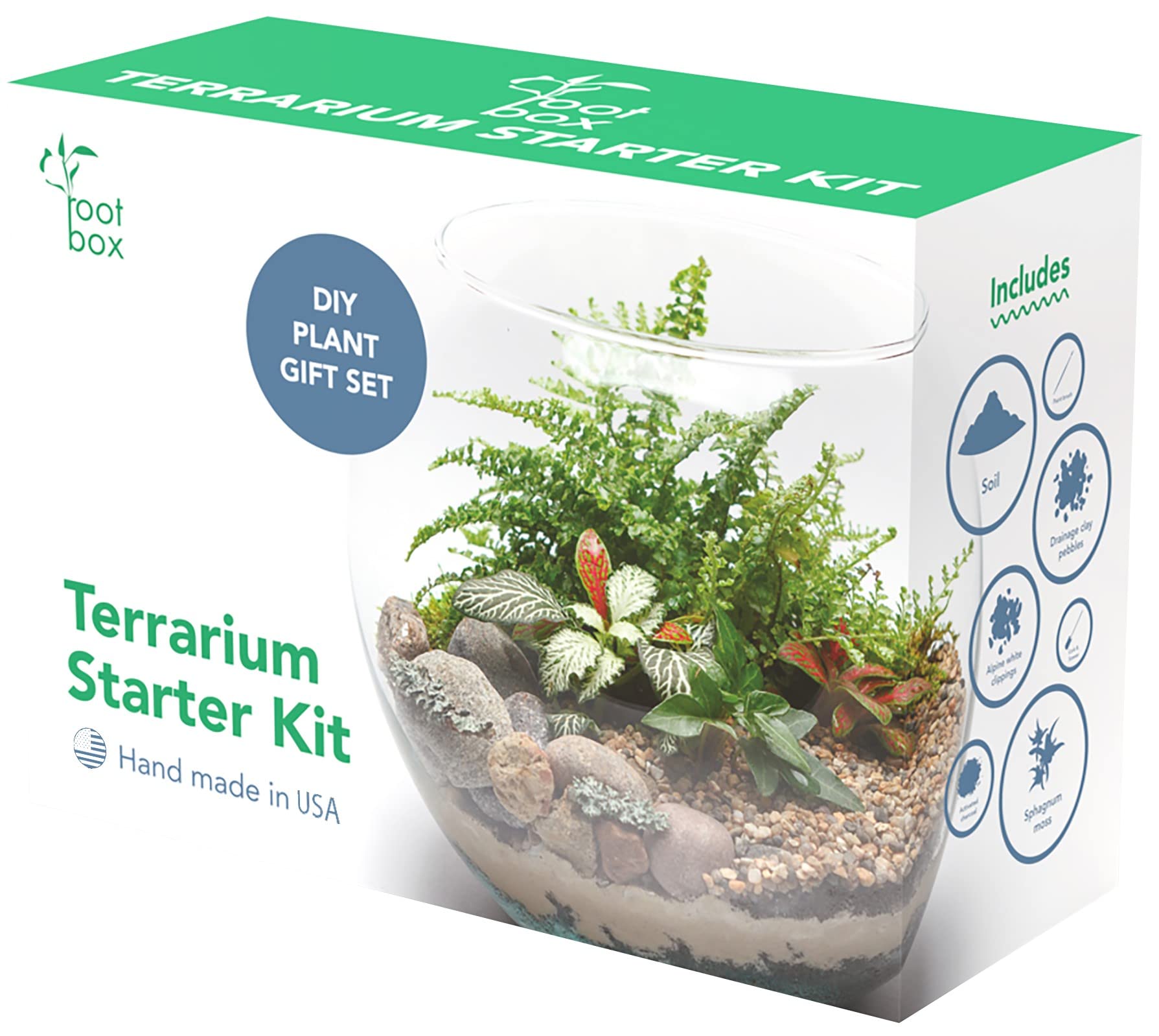 Mua Root Box™ Large Terrarium Kit in Scented giftbox | Supplies for ...