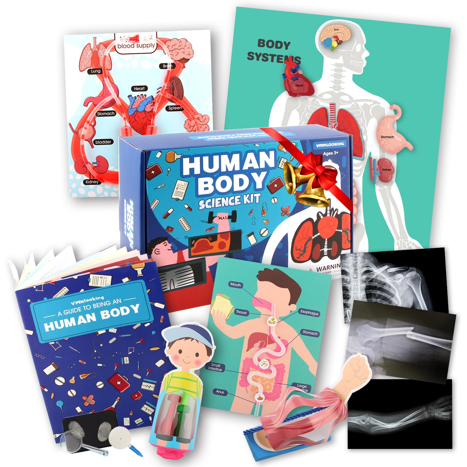 Human Body Activities & Experiments Science Kit for Kids,Human Anatomy ...