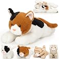 Amazon.com: Skylety 5 Pieces Cat Stuffed Animal with Babies Inside ...
