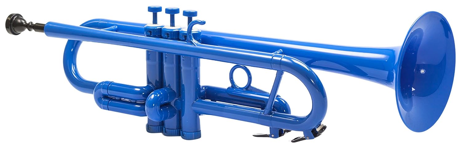 Top 10 Best Trumpets For Kids Reviews In 2021