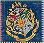 Amazon.com: Harry Potter Party Napkins, 16ct : Toys & Games