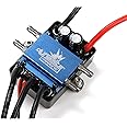 Amazon.com: Dynamite 120A BL Marine ESC 2-6S Dual Connector DYNM3875 ...