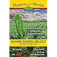 Amazon.com : Sandia Select NuMex Pepper Seeds - Green Chile with Superb ...