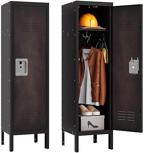 Vintage Metal Locker with Hooks,Lockable 1 Door Storage Locker,Retro ...